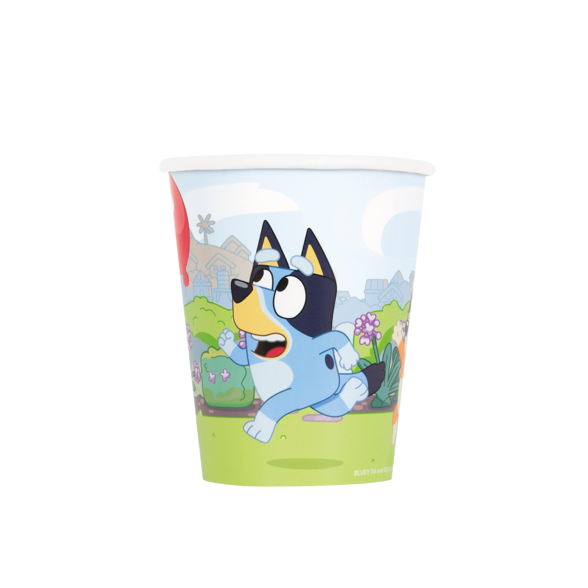 Bluey and Bingo Cups – Chroma Celebrations