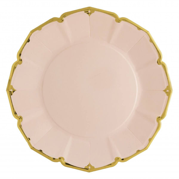Blush Pink Dinner Plates - Large – Chroma Celebrations